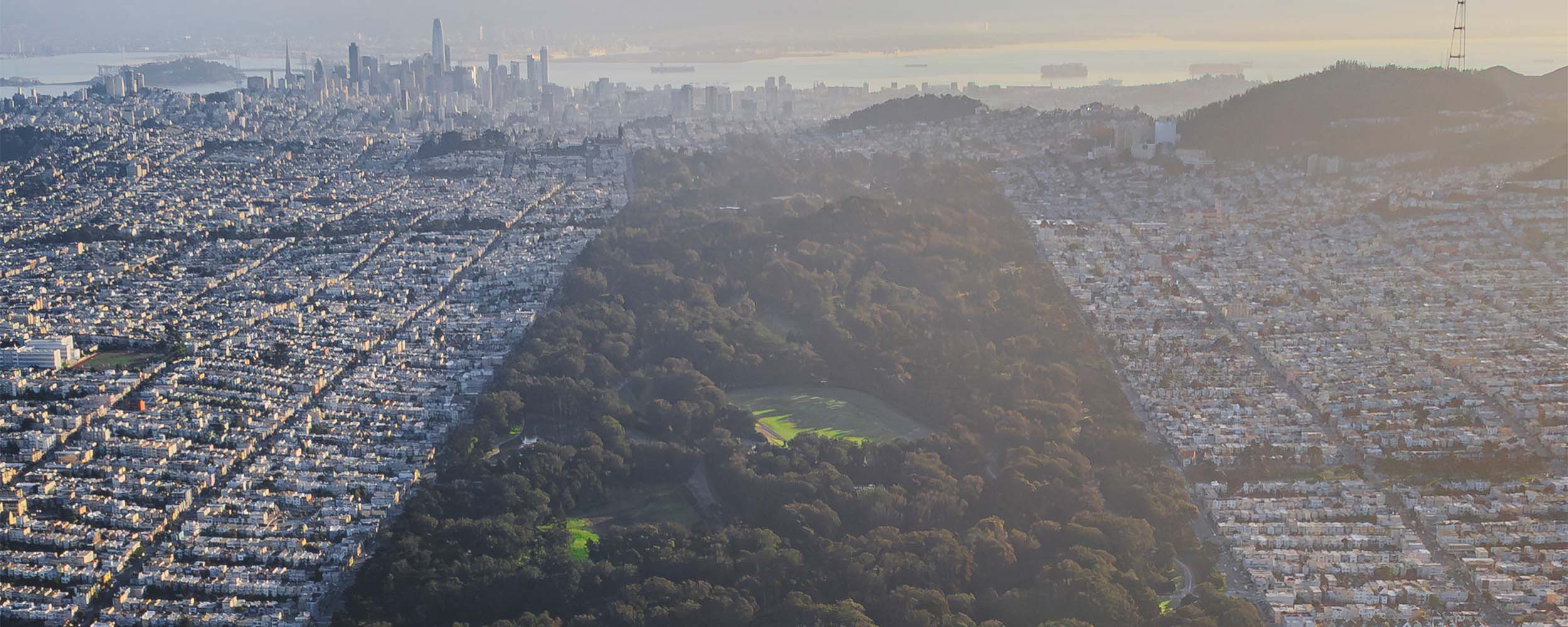 Golden Gate Park Concerts